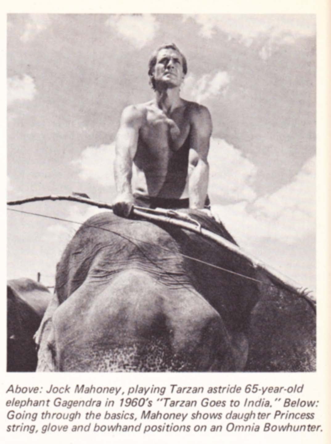 ArcheryTalk Articles & Blogs » General Archery